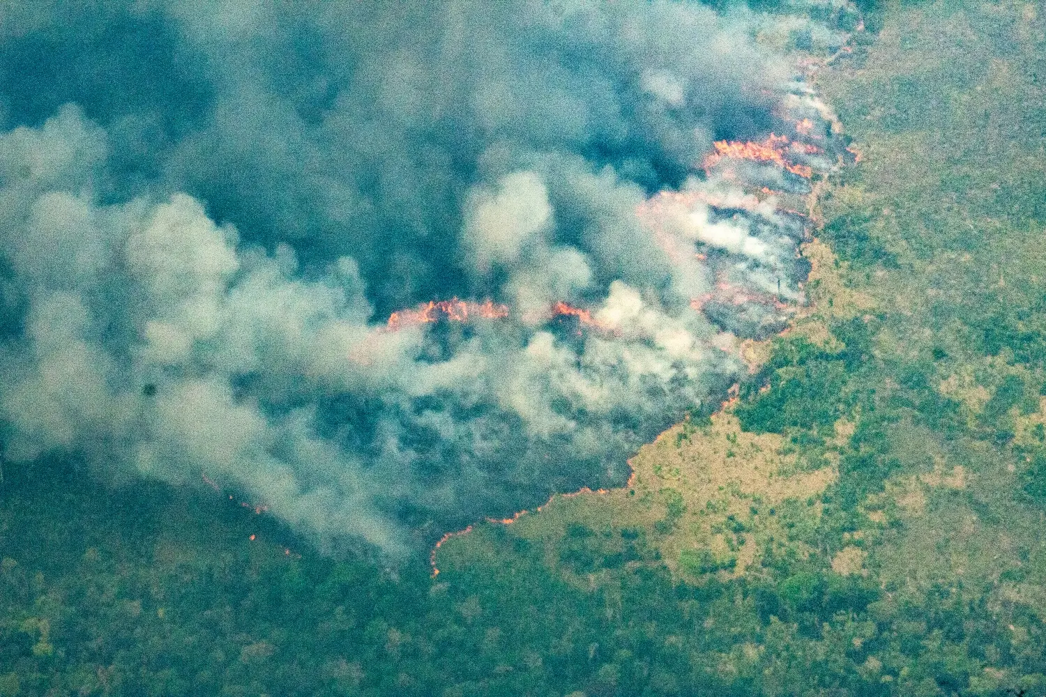 Amazônia bate recorde e tem o maior número de focos de incêndio da ...